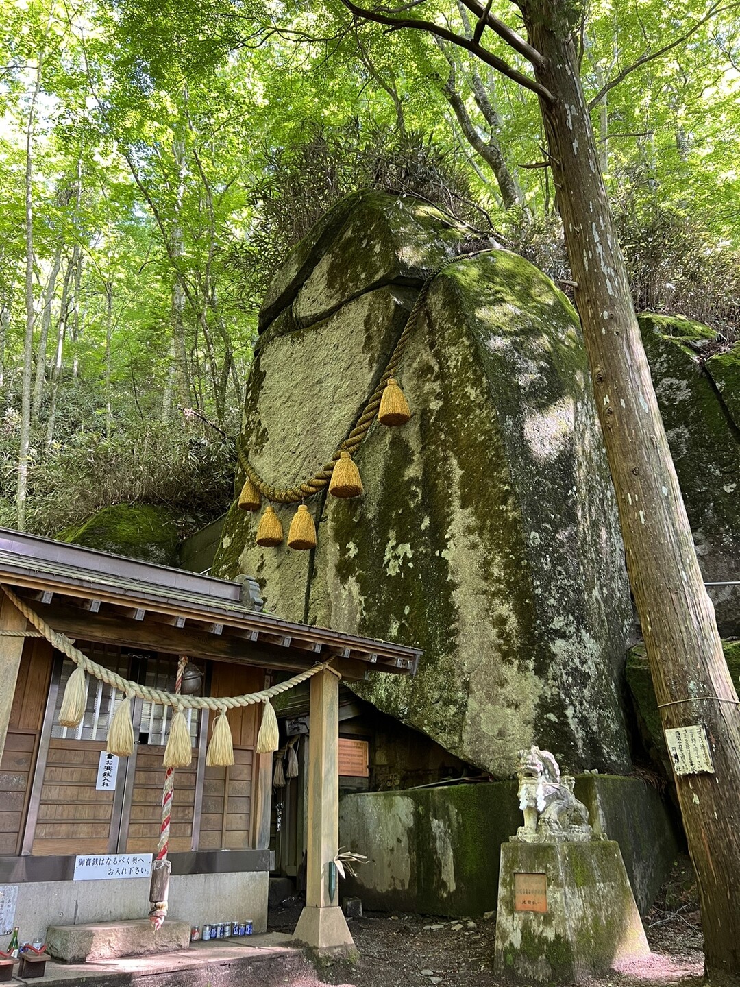 石割山 / kilauea さんの御正体山・杓子山・石割山の活動データ | YAMAP / ヤマップ