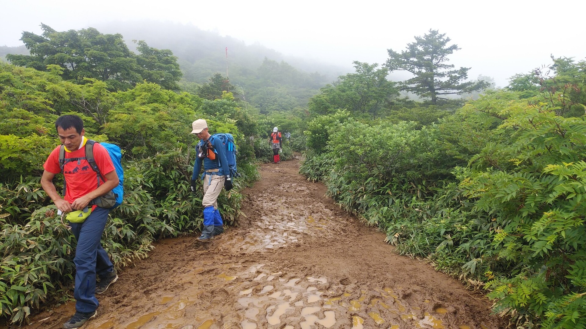 安達太良山-2019-07-21 / 安達太良山・箕輪山・鬼面山の写真56枚目 | YAMAP / ヤマップ