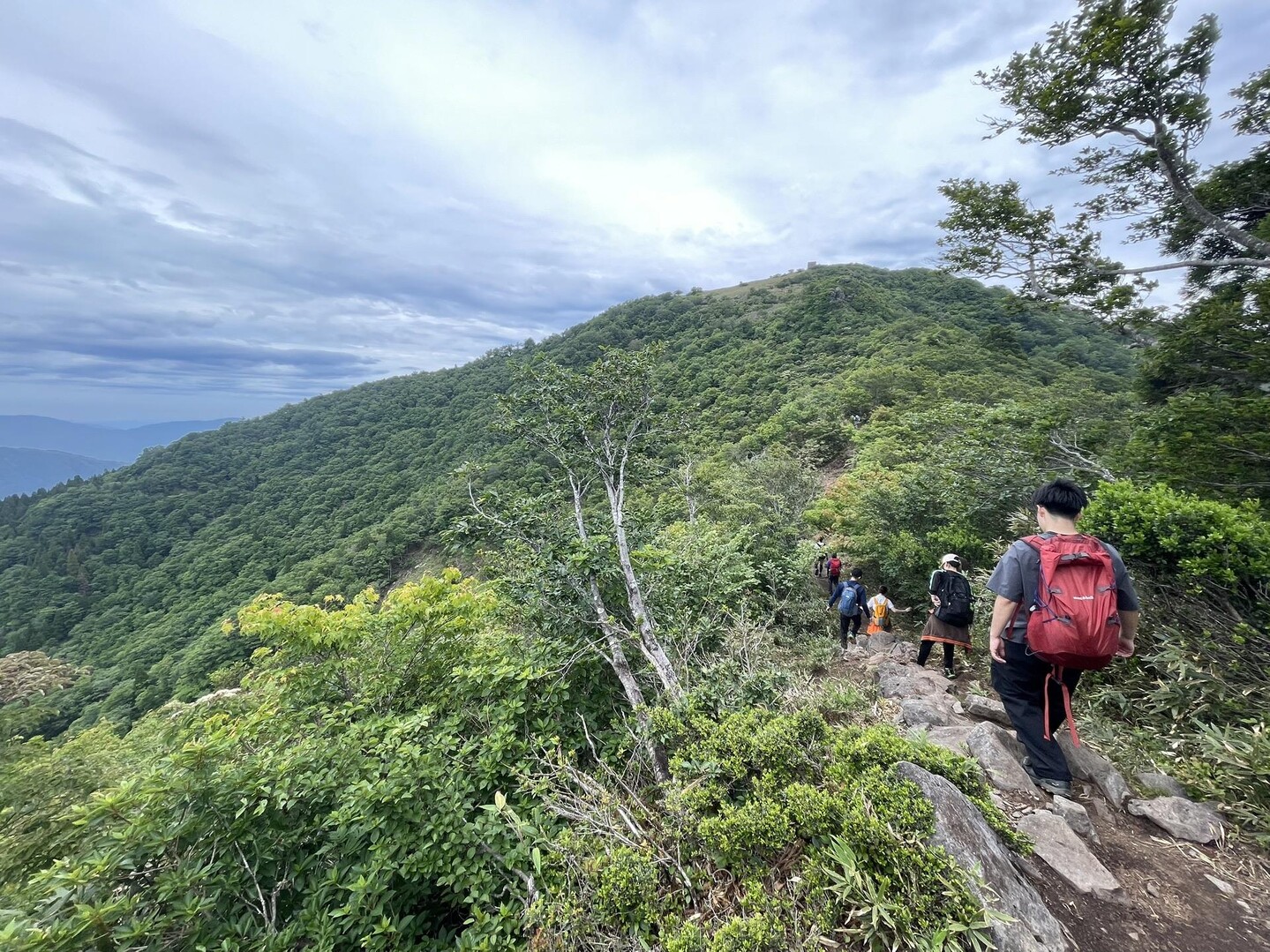 氷ノ山（須賀ノ山） / YUKI.Nさんの氷ノ山（須賀ノ山）・鉢伏山・瀞川山の活動データ | YAMAP / ヤマップ