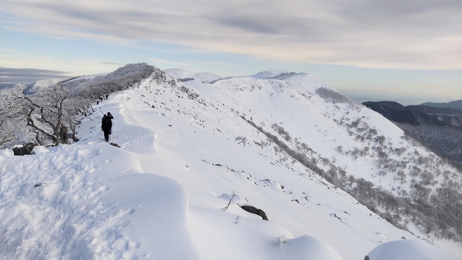 霊仙山 / モンチGf🙊さんの霊仙山の活動データ | YAMAP / ヤマップ