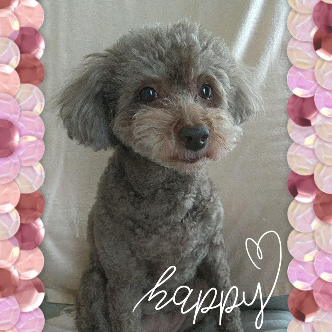 cotton＊のページ | YAMAP / ヤマップ