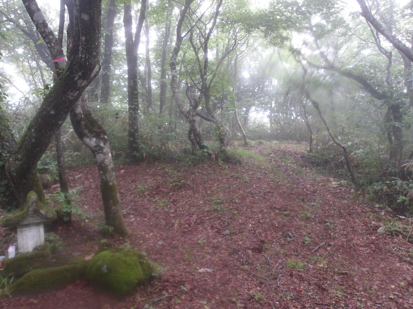 月山（女人禁制の名残今も）六ヶ所村※動画あり / snow@ystさんの月山の活動データ | YAMAP / ヤマップ