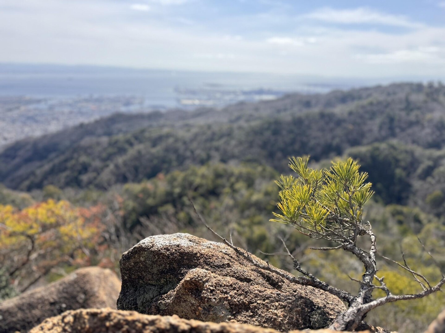 城山・鷹尾山・荒地山・ごろごろ岳・ガベノ城・甲山 / ku-fuさんの六甲山・長峰山・摩耶山の活動データ | YAMAP / ヤマップ