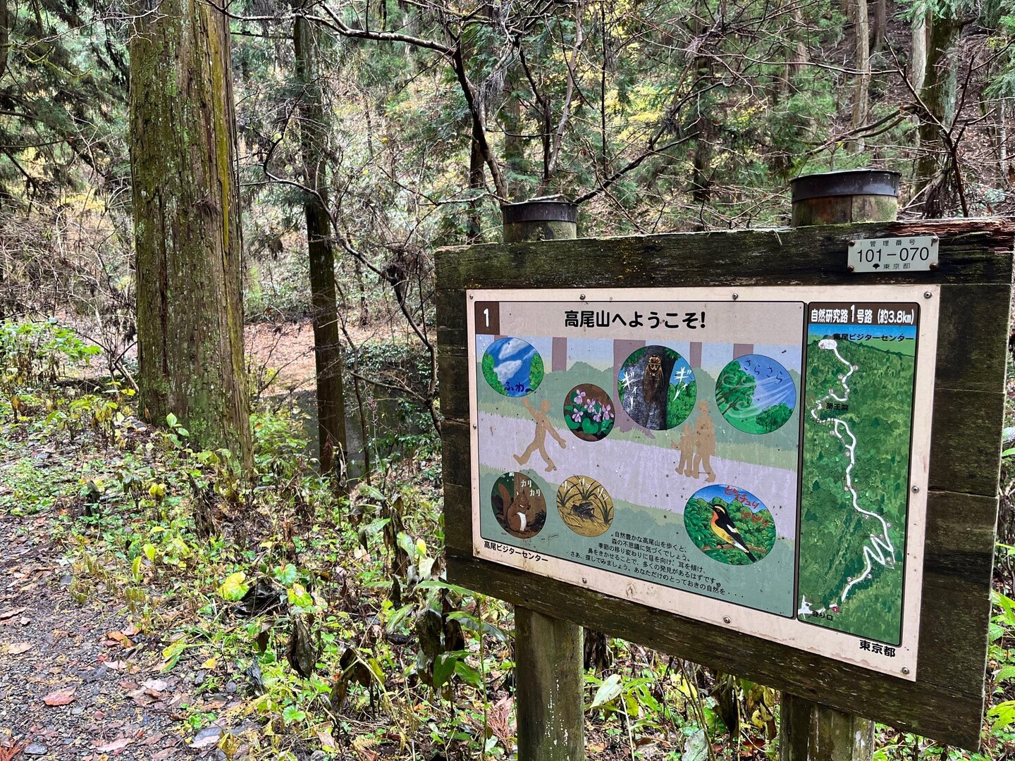 いこさんの投稿したフィールドメモ | YAMAP / ヤマップ