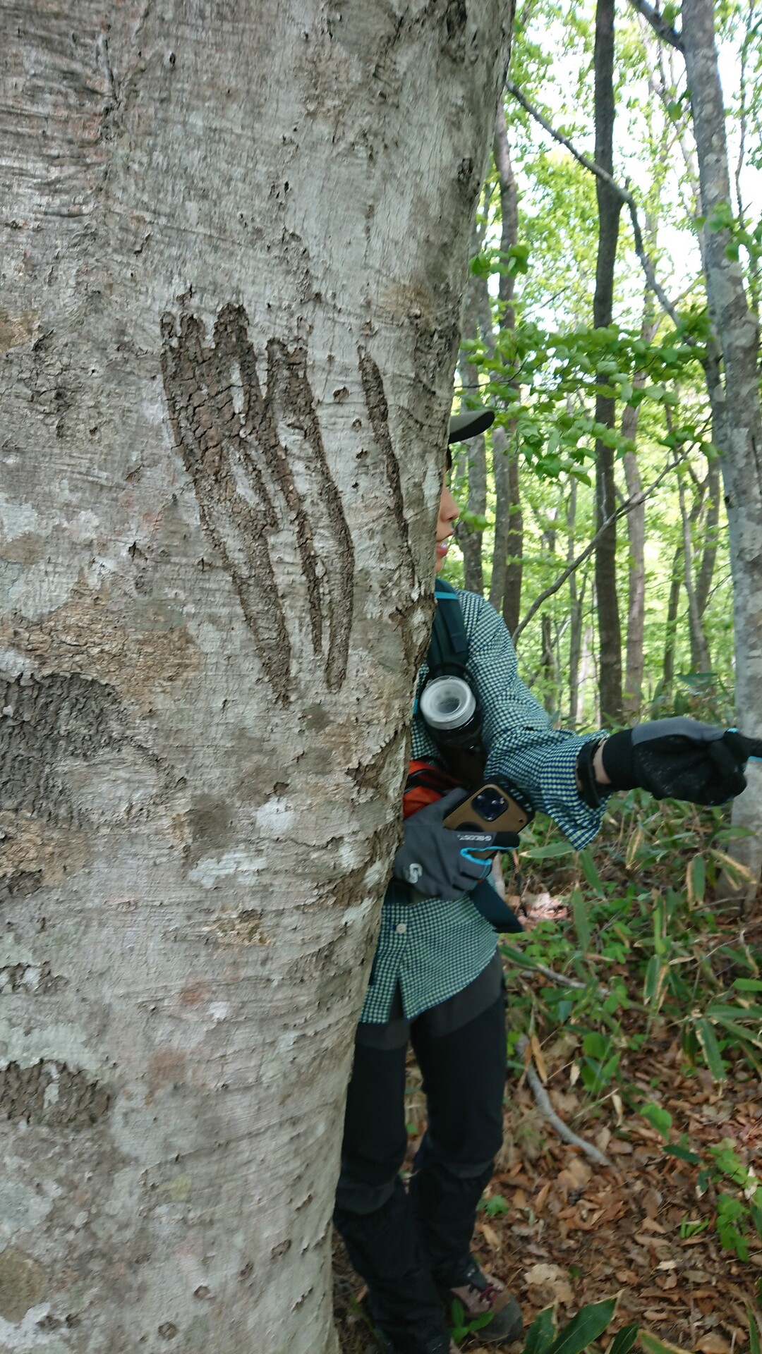 POKAさんの投稿したフィールドメモ | YAMAP / ヤマップ