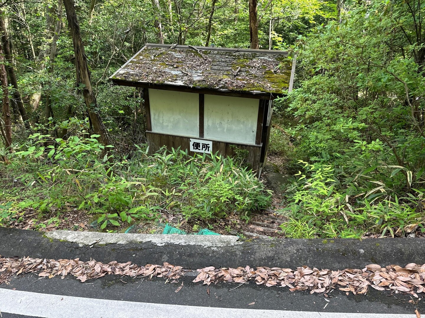 TAROさんの投稿したフィールドメモ | YAMAP / ヤマップ