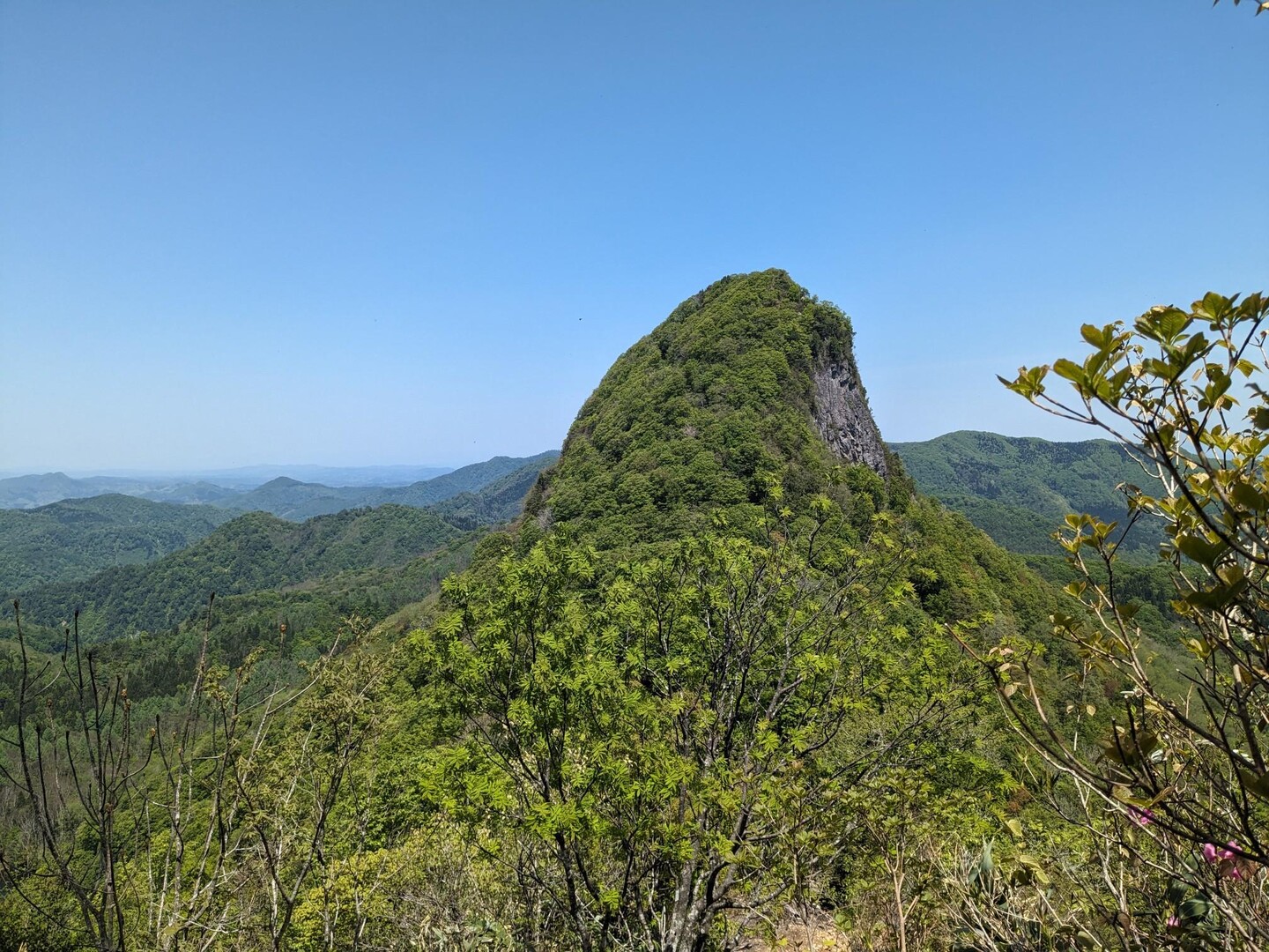 秋田の秘境、サンカヨウが咲き乱れる甑山 / noraさんの甑山の活動日記 | YAMAP / ヤマップ