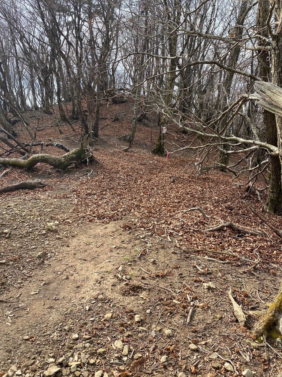 sinnさんの投稿したフィールドメモ | YAMAP / ヤマップ