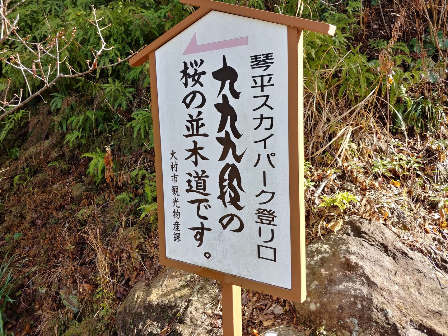 琴平岳 今年9座目 / ukiさんの多良岳・経ヶ岳・五家原岳の活動データ | YAMAP / ヤマップ