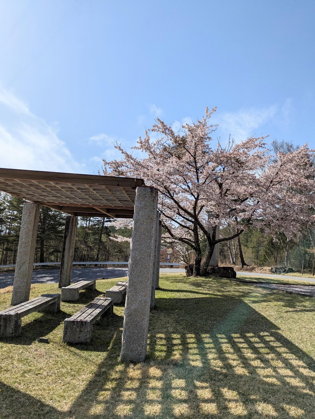 2023年4月28日 GWの思い出MEM... / atommamaさんのモーメント | YAMAP / ヤマップ