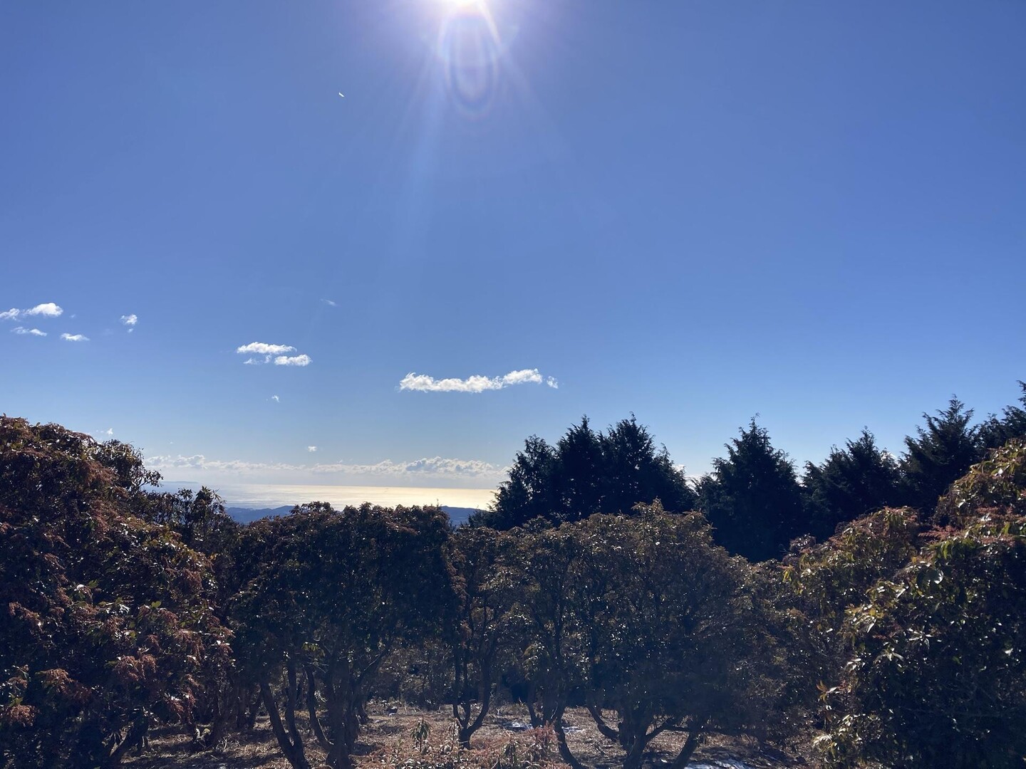 宮地山・タコチバ山・シダンゴ山 / ユーザーMiekoさんの高松山・大野山の活動データ | YAMAP / ヤマップ