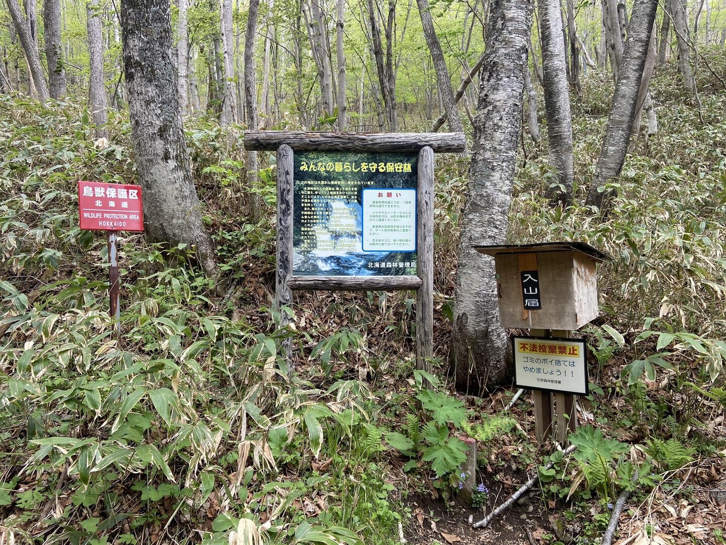 紋別岳 / mitさんの紋別岳の活動データ | YAMAP / ヤマップ