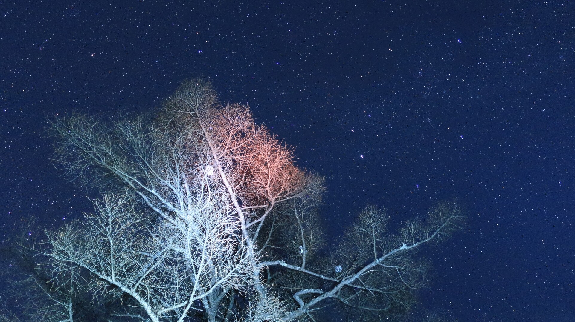 車山でスノーシュー 新雪の上を... / shantiさんのモーメント | YAMAP / ヤマップ