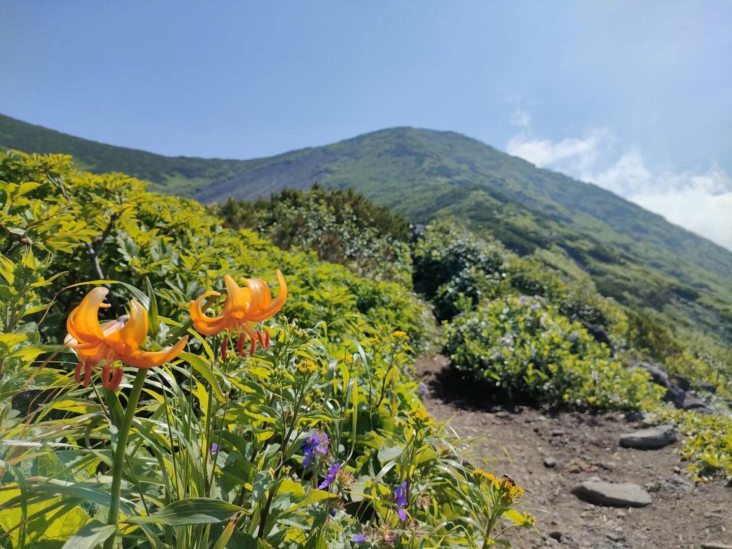 羊蹄山【98/100】 / junさんの羊蹄山（蝦夷富士）の活動データ | YAMAP / ヤマップ