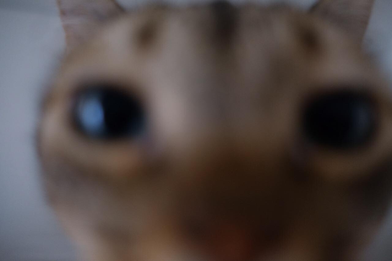 sopaのページ | YAMAP / ヤマップ