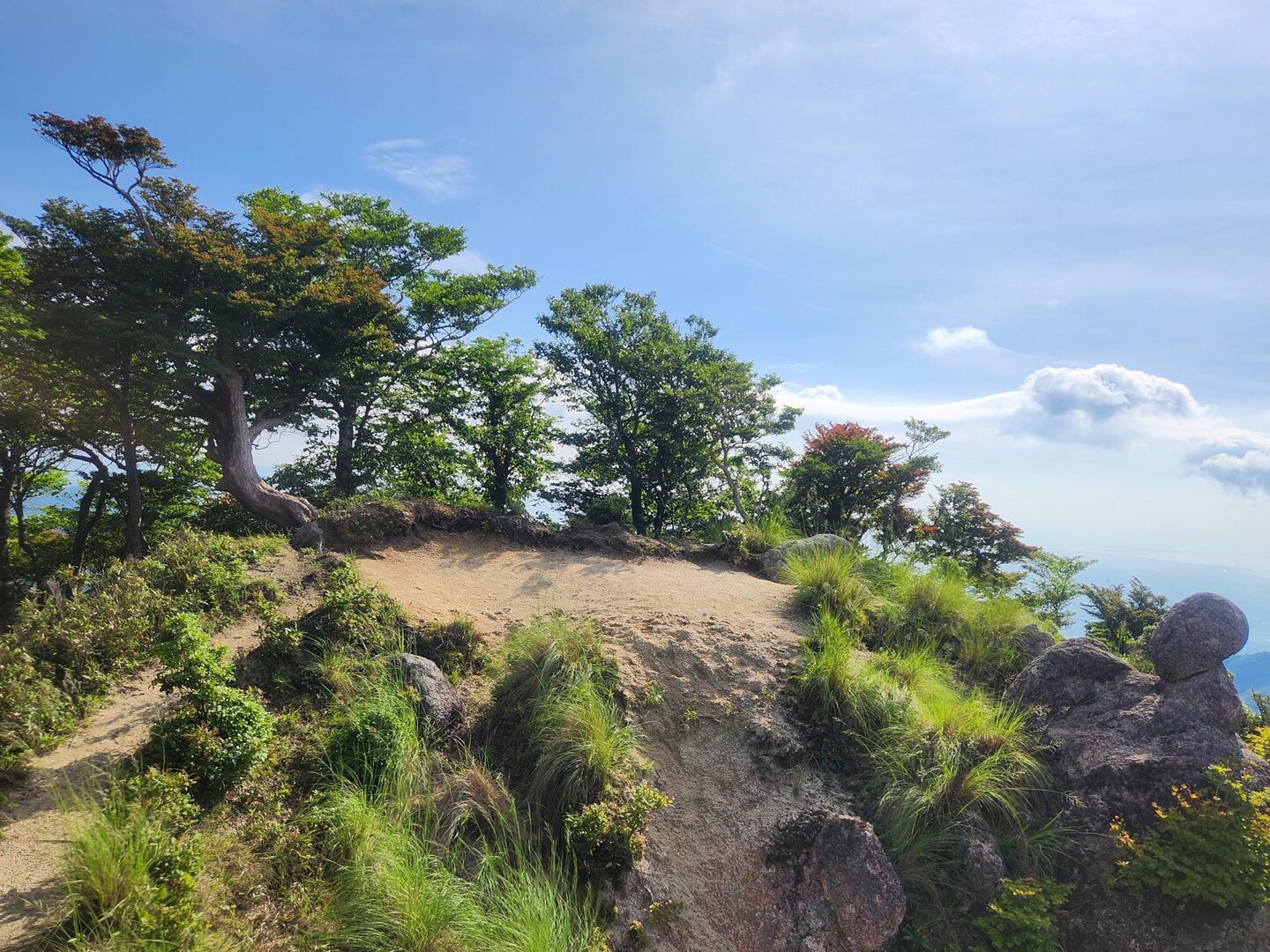 satomi29さんの投稿したフィールドメモ | YAMAP / ヤマップ