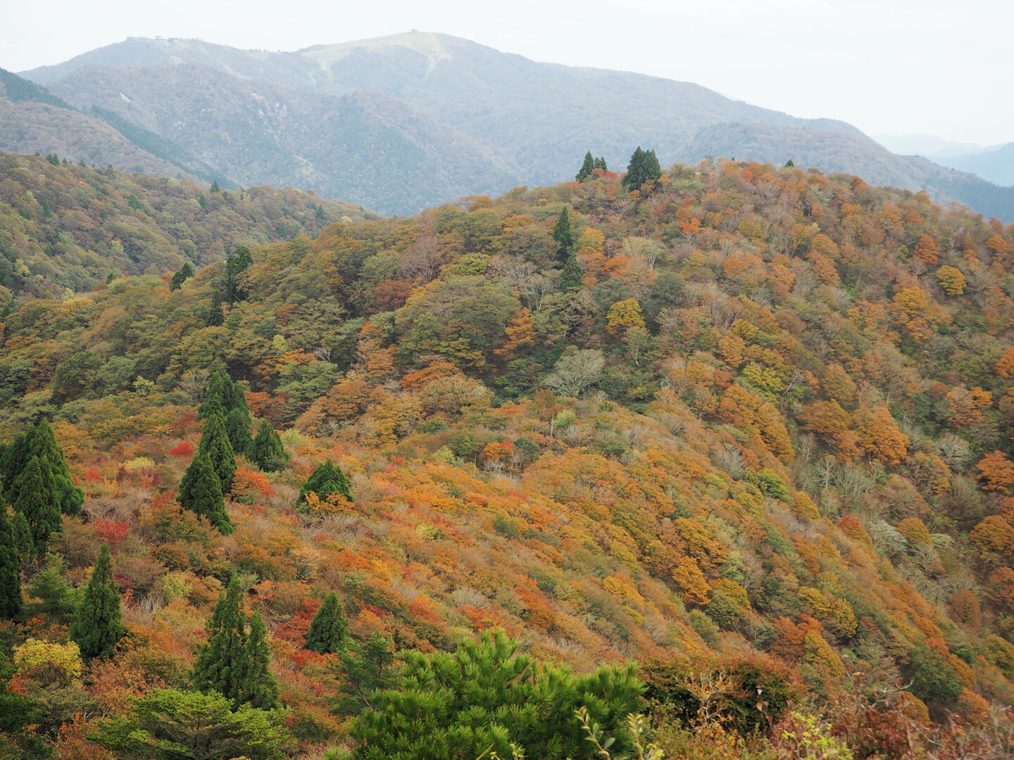 御殿山・武奈ヶ岳 / mokaさんの比良山地・武奈ヶ岳・釈迦岳の活動日記 | YAMAP / ヤマップ