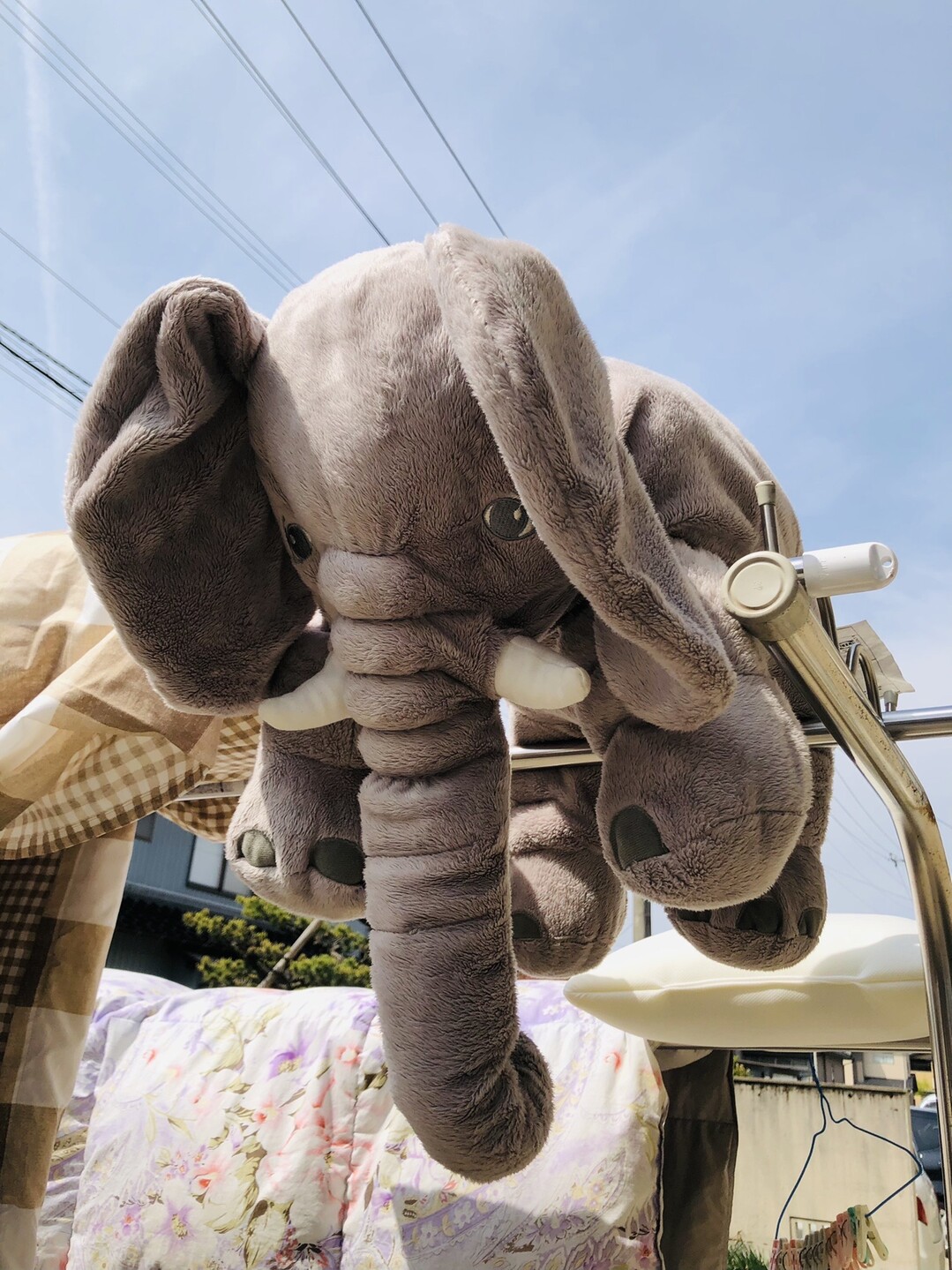 晴れてきましたー😊 山に行きたいけど、... / HIRO☆さんのモーメント | YAMAP / ヤマップ