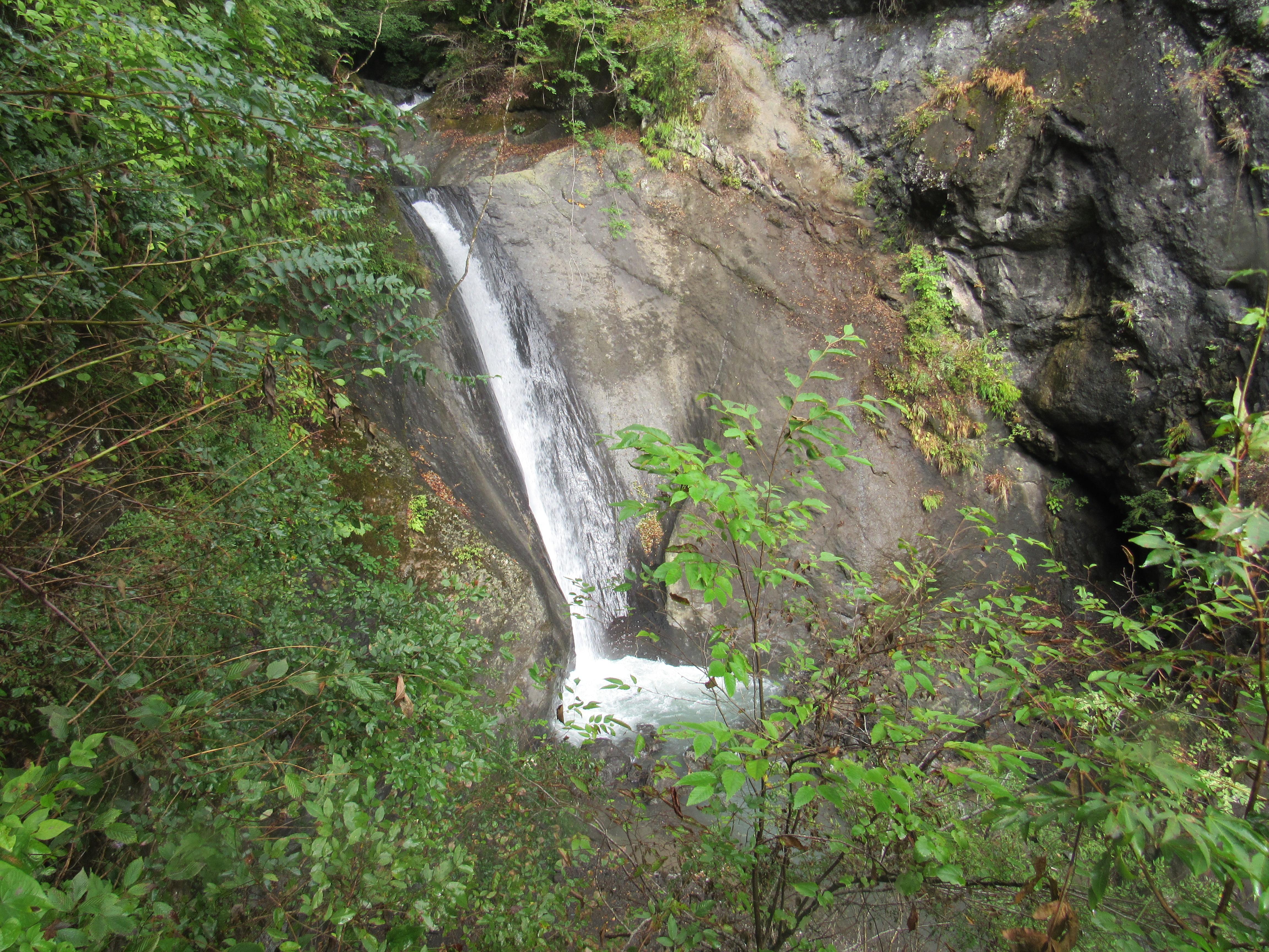 やまなし2025大柳川渓谷 / kajiyanさんの富士見山・御殿山の活動データ | YAMAP / ヤマップ