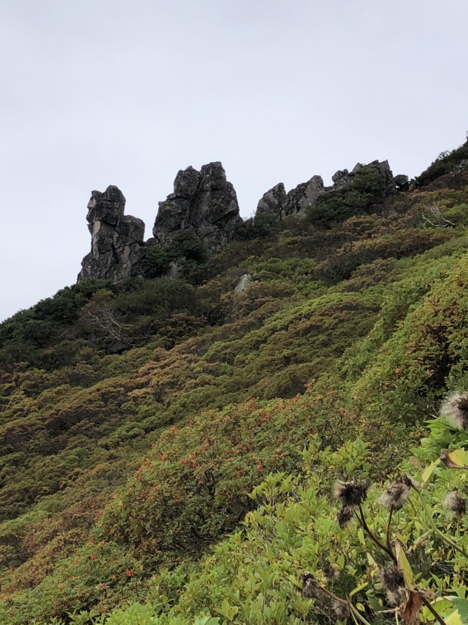 14.September 2020 D... / chantyさんのモーメント | YAMAP / ヤマップ