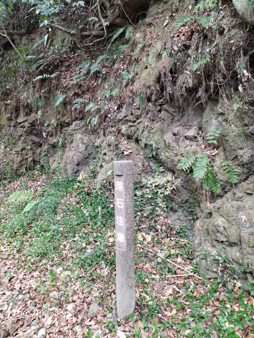 kuma3016さんの投稿したフィールドメモ | YAMAP / ヤマップ