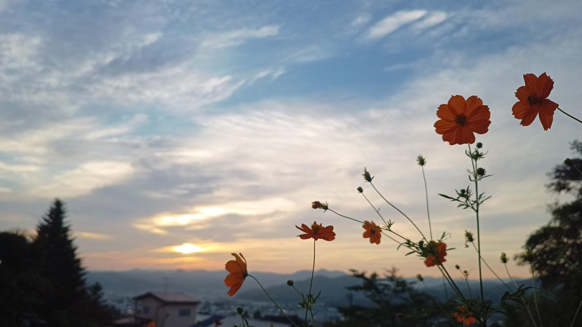 今週は朝25℃切る日が続いたのでほぼ毎日... / Nozomiさんのモーメント | YAMAP / ヤマップ