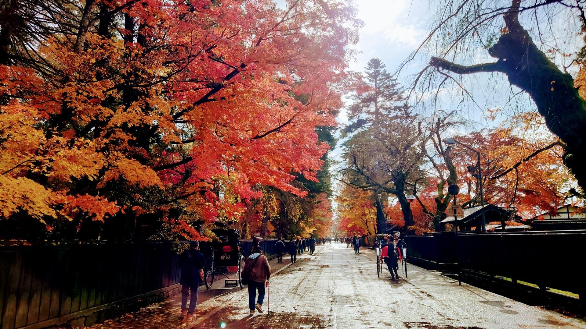 古城山・角館武家屋敷紅葉 / WA1号さんの古城山の活動データ | YAMAP / ヤマップ