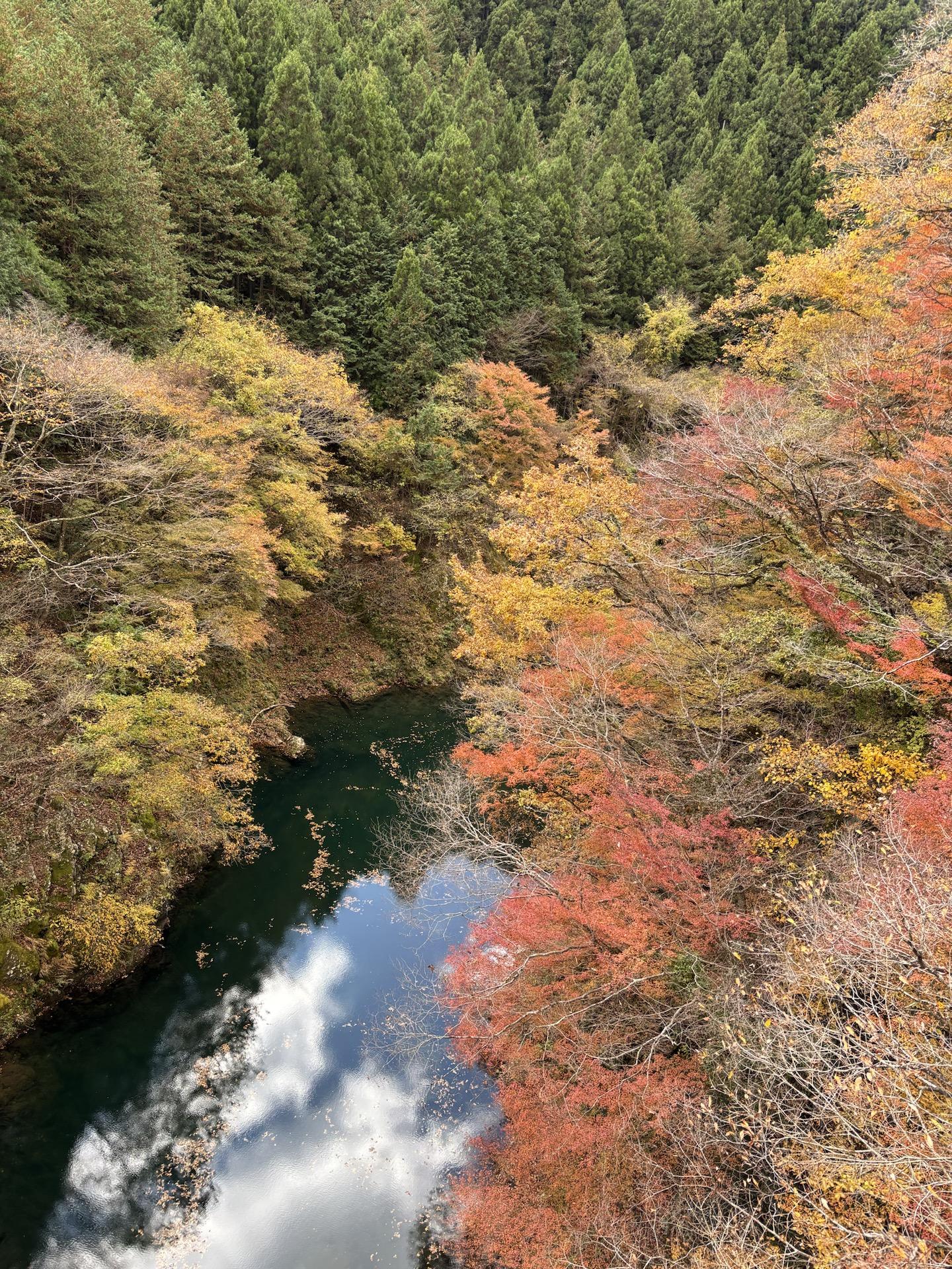 奥多摩むかし道 / meshikoさんの大岳山・御岳山・御前山の活動データ | YAMAP / ヤマップ