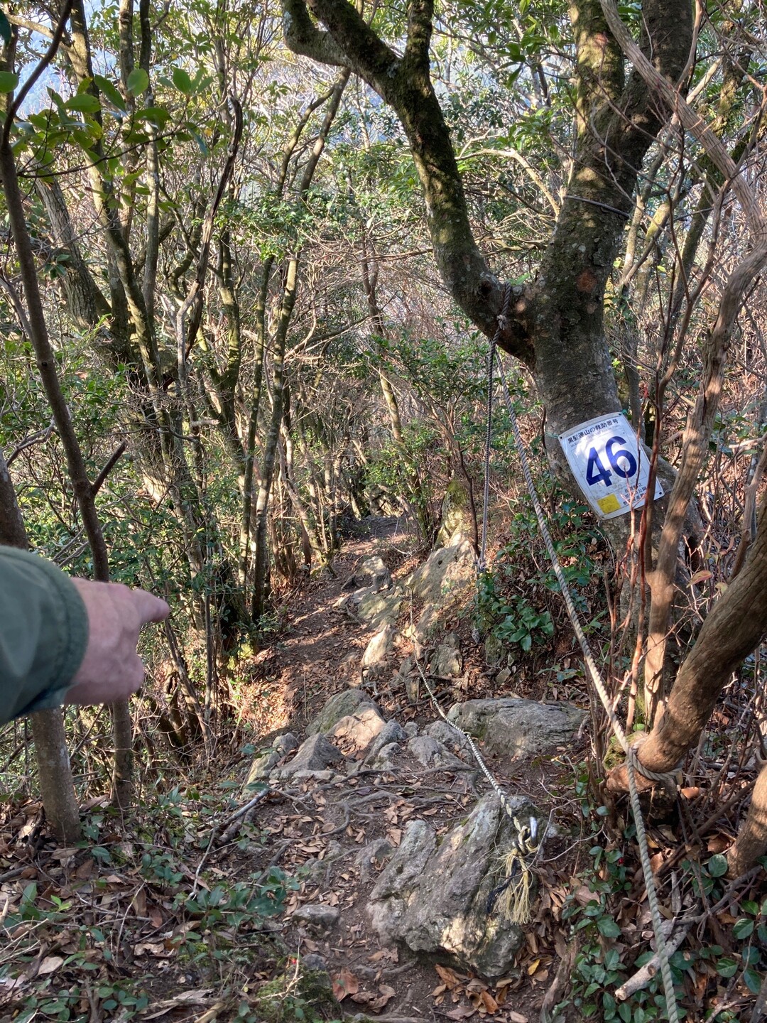 Toshio さんの投稿したフィールドメモ | YAMAP / ヤマップ