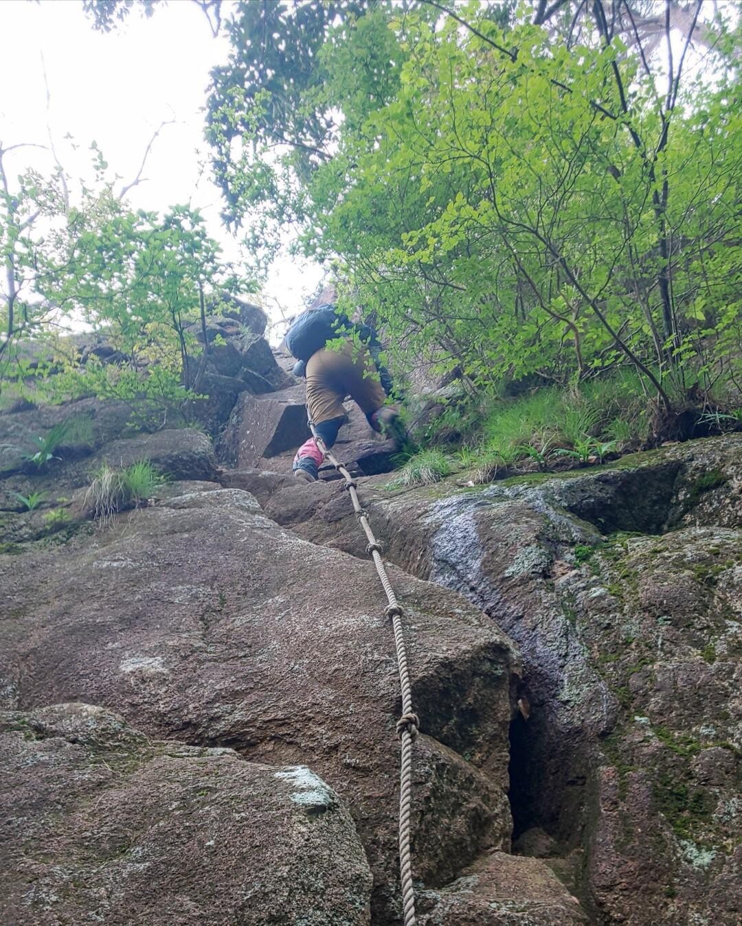 丹助岳 🚗 矢筈岳 / kenri33さんの丹助岳・矢筈岳・比叡山の活動データ | YAMAP / ヤマップ