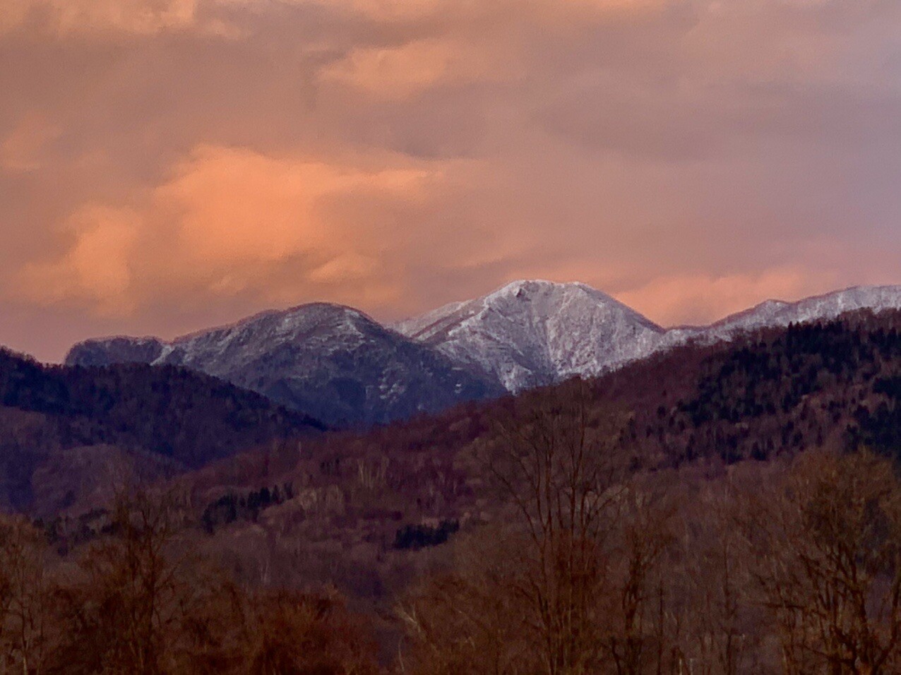 身近にある、明瞭な夏道のない山。 晩秋か... / TETSUさんのモーメント | YAMAP / ヤマップ