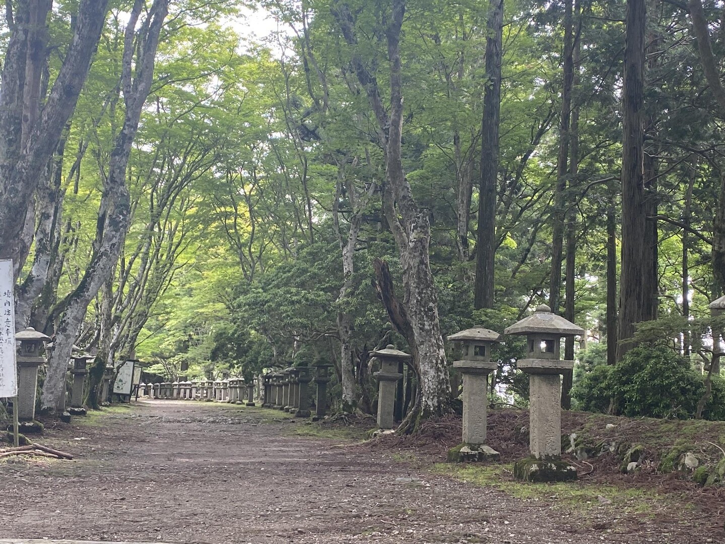 初めての愛宕山 / motusan さんの愛宕山・三頭山・朝日峯の活動データ | YAMAP / ヤマップ