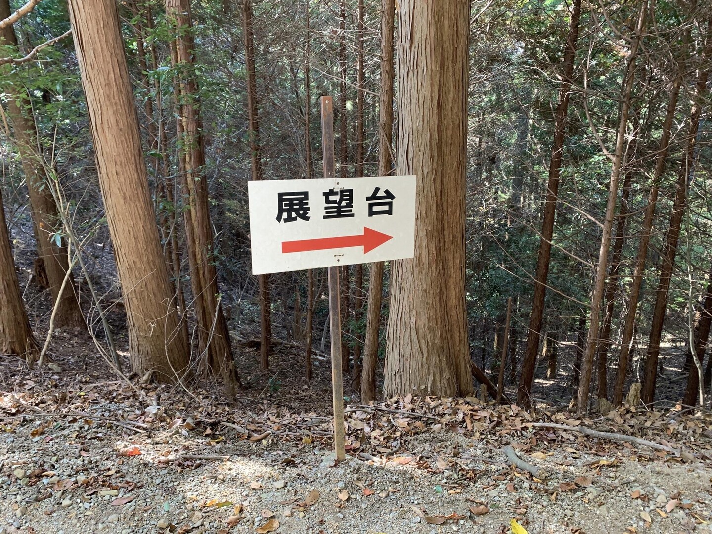 ogwさんの投稿したフィールドメモ | YAMAP / ヤマップ