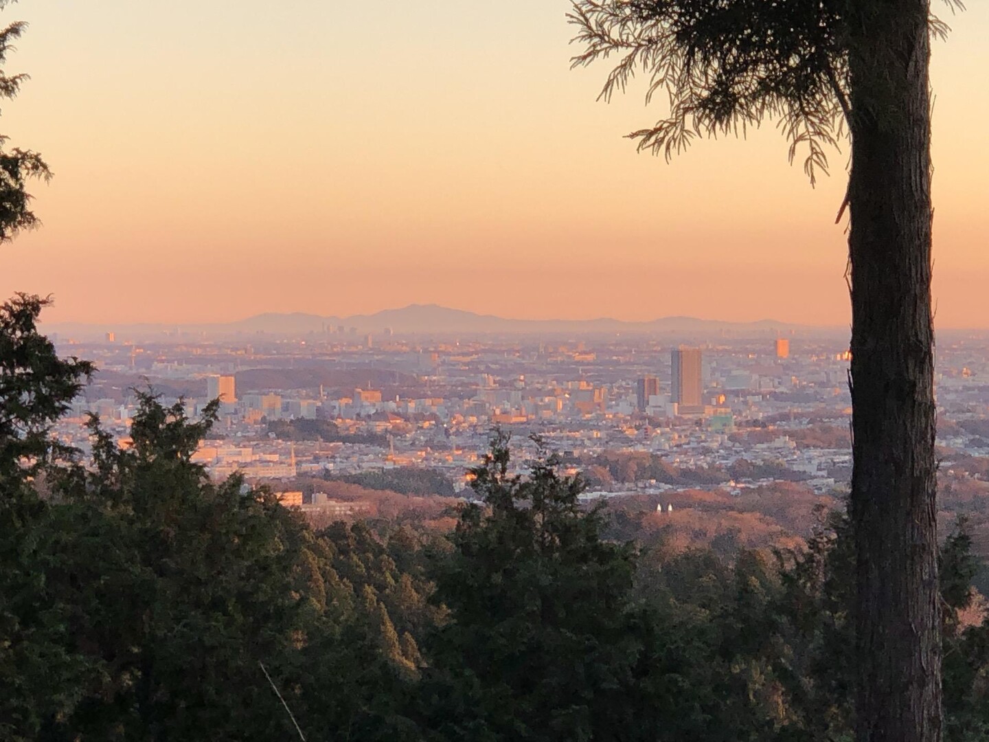 南高尾セブンサミッツ（反時計回り）6号路↑ / kojiさんの高尾山・陣馬山・景信山の活動日記 | YAMAP / ヤマップ