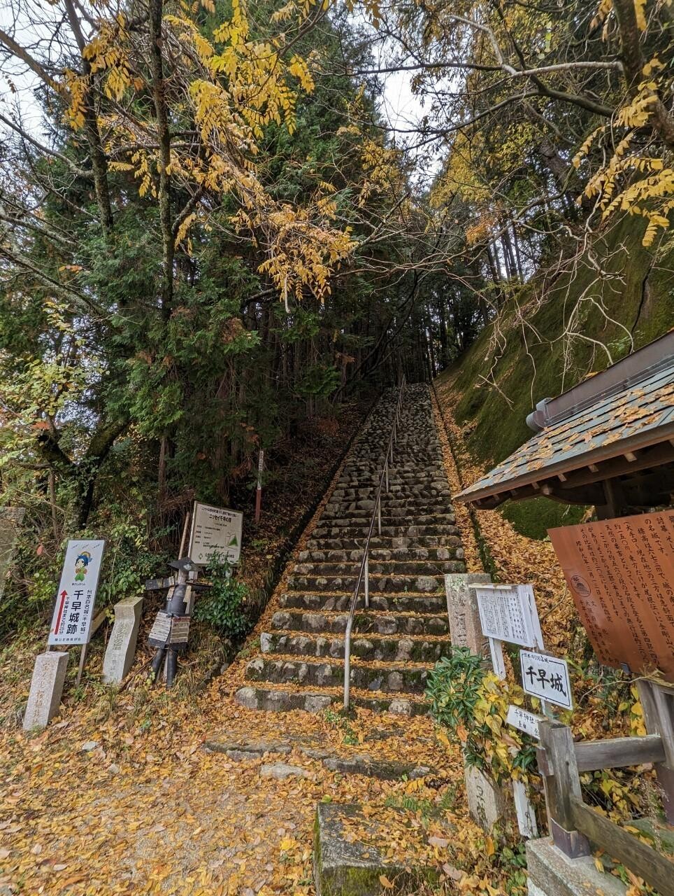 2022/11/14 金剛山 9回目 ... / koke（苔）さんのモーメント | YAMAP / ヤマップ