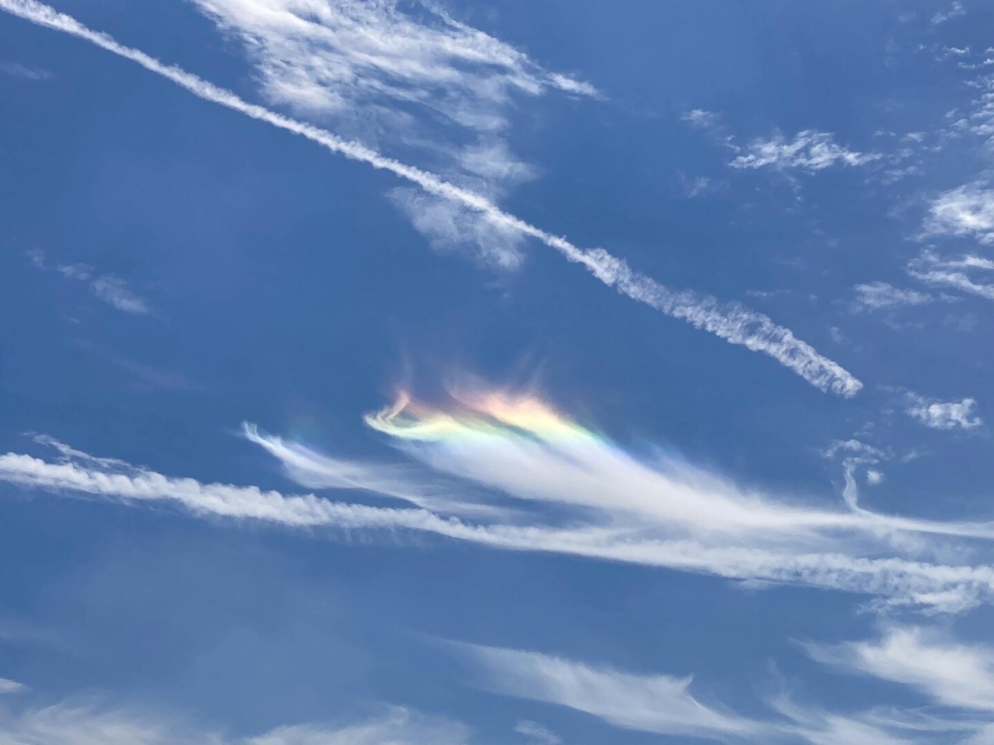 短いけど、環水平アーク。 8/16 1... / rokuさんのモーメント | YAMAP / ヤマップ