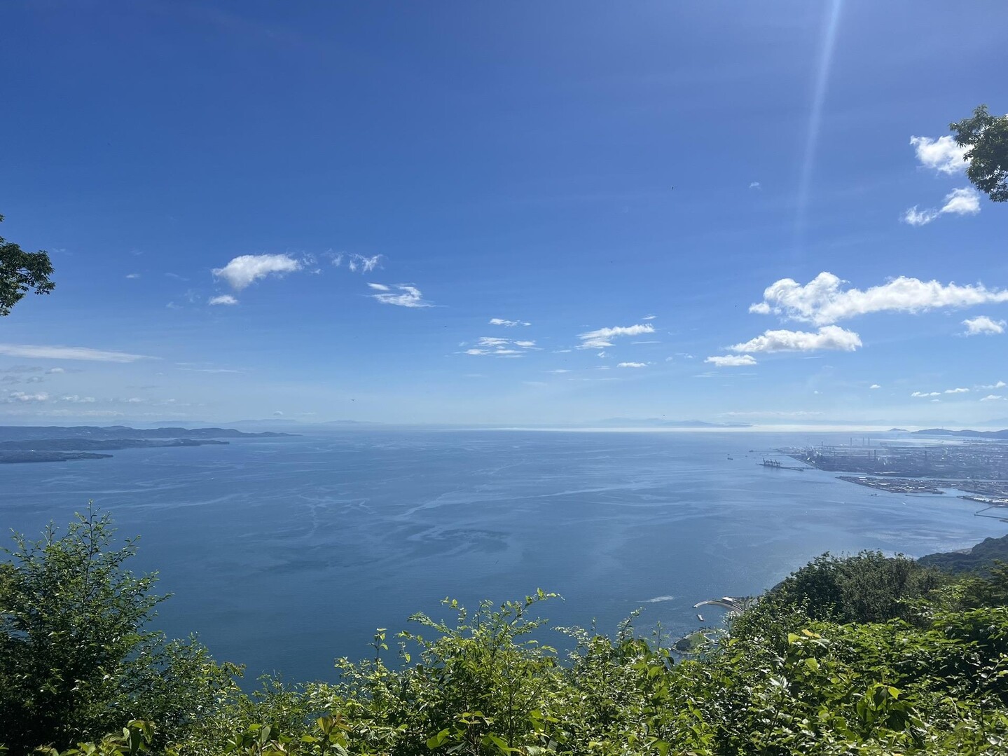 七夕に☆高崎山へ🌟海抜0mのOP😄道の駅たのうらら☆からの⛰️ / やまざる🐒カズ🐒さんの高崎山の活動日記 | YAMAP / ヤマップ