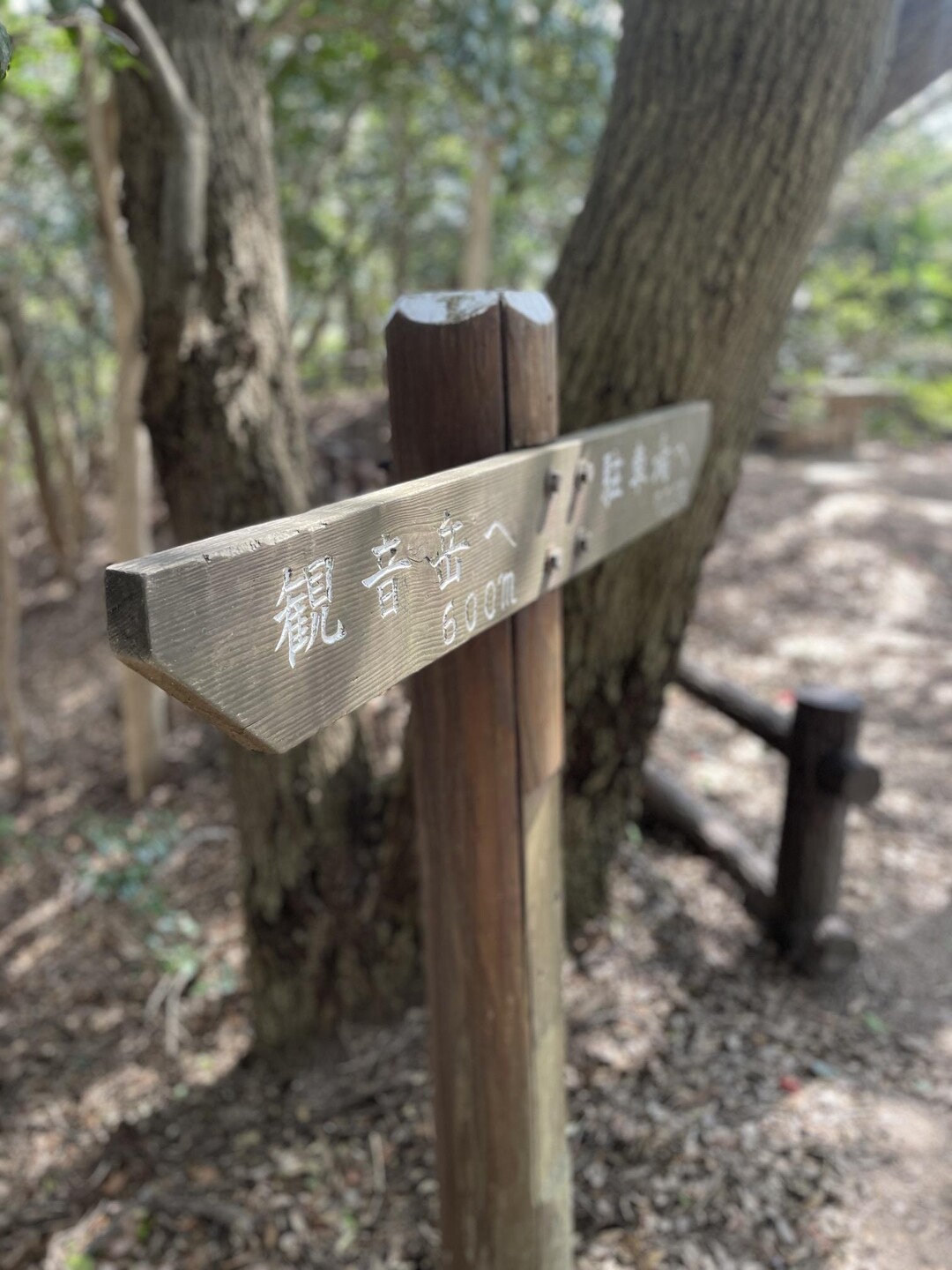 山頂クッキング🍳観音岳（できてない） / __sa__raさんの小岱山（筒ヶ岳）・観音岳・丸山の活動データ | YAMAP / ヤマップ