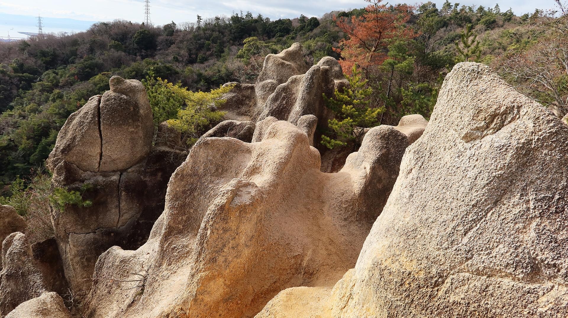 20230211_芦屋ロックガーデン付近散策 / saka_masaさんの六甲山・長峰山・摩耶山の活動データ | YAMAP / ヤマップ