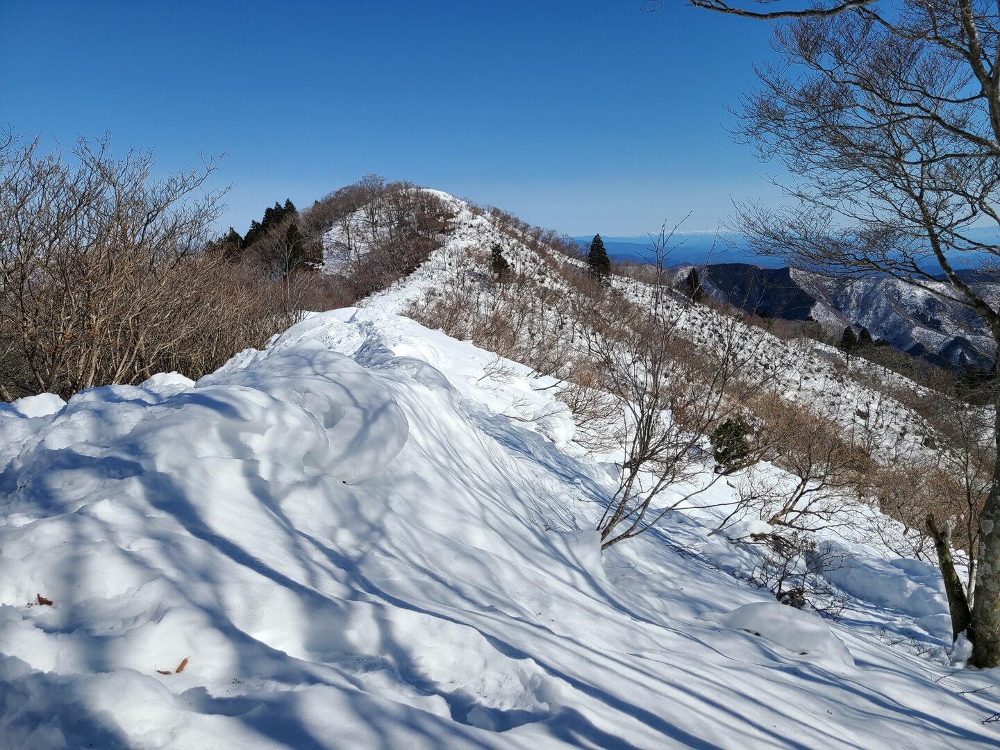 小貝月山・貝月山 / Reyさんの貝月山の活動データ | YAMAP / ヤマップ