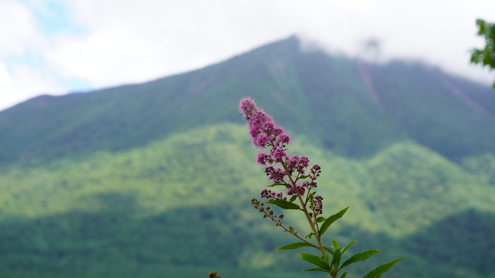戦場ヶ原から小田代ヶ原ハイキング / クボリン 1123226さんの男体山の活動データ | YAMAP / ヤマップ