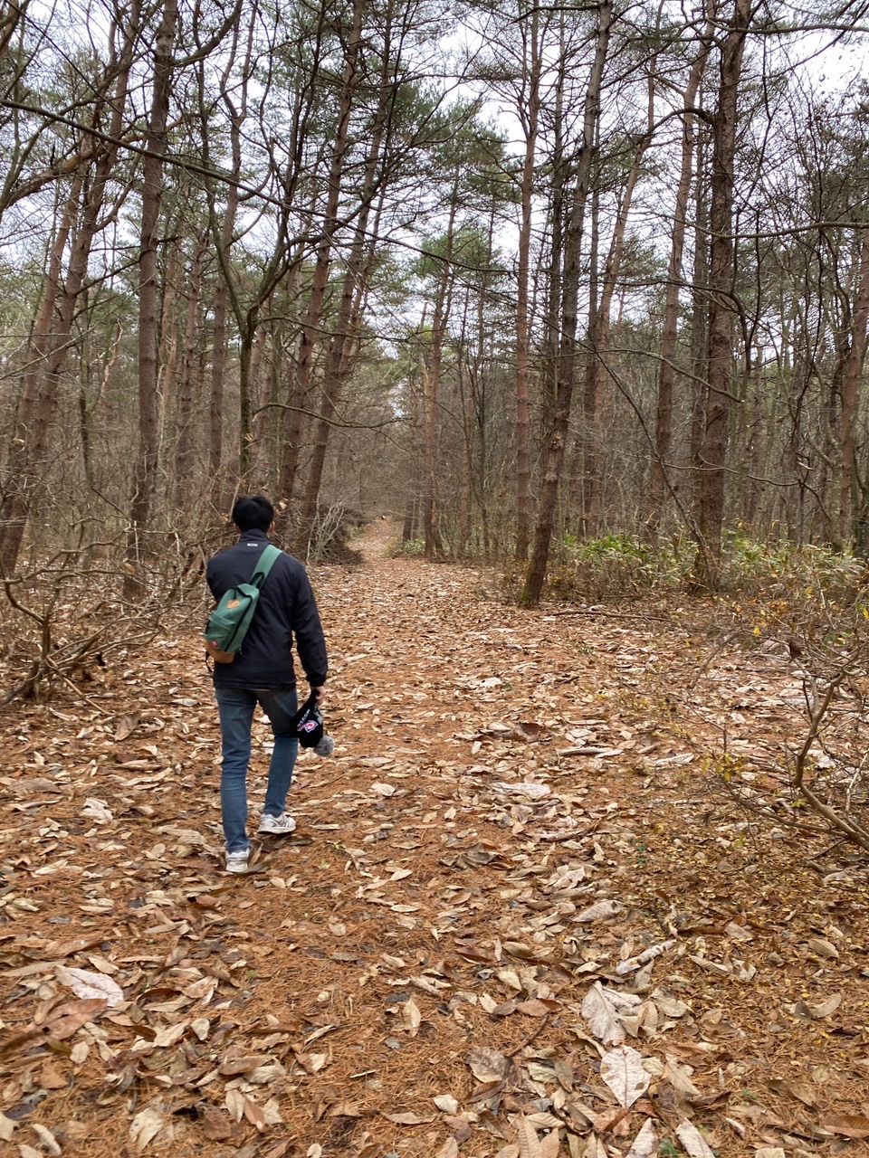 先週行った物見山が素晴らしかったので今日... / RUNさんのモーメント | YAMAP / ヤマップ
