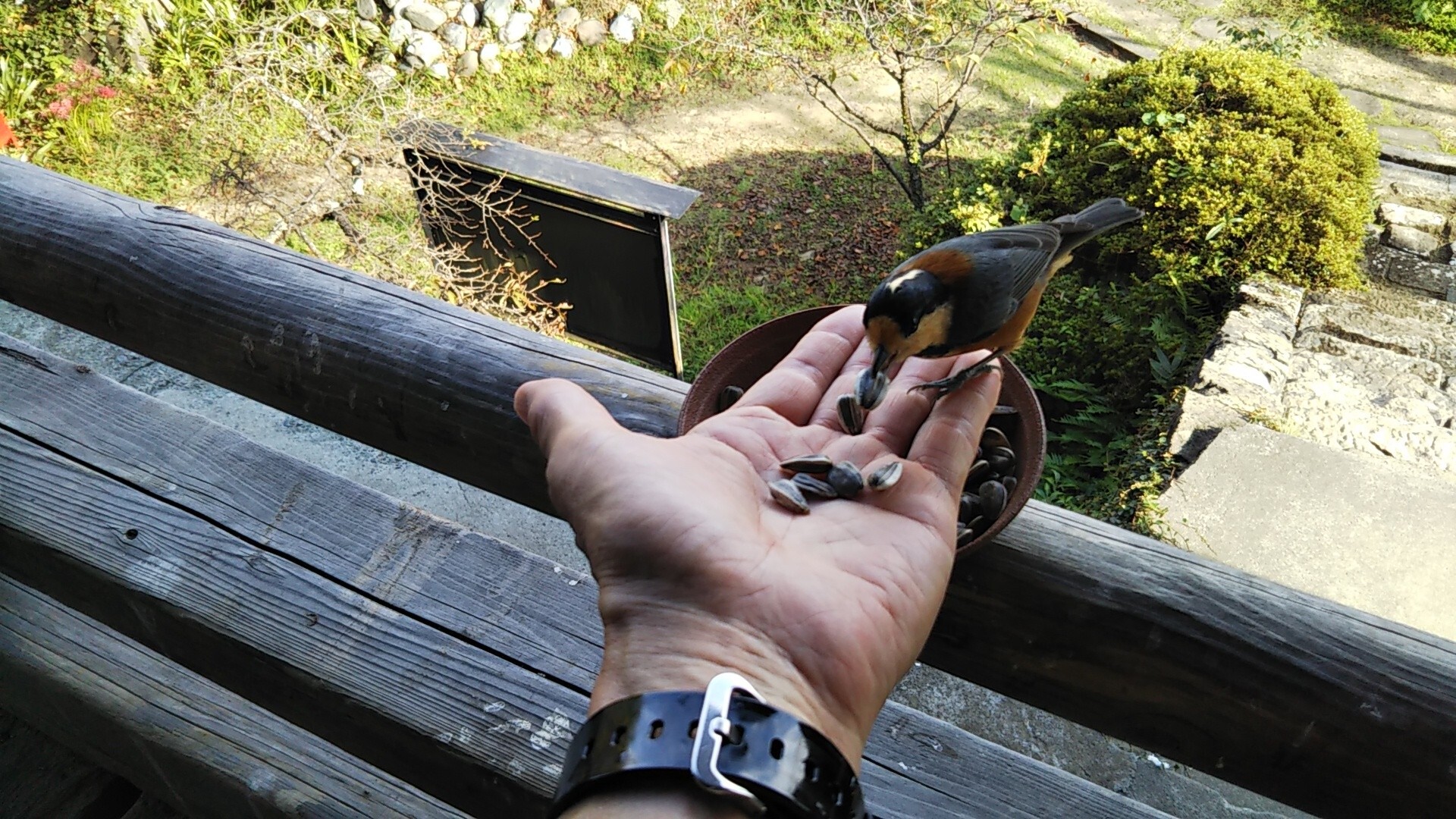 帆掛山 / Ichi ro さんの高山・欅立山・梶原山の活動データ | YAMAP / ヤマップ