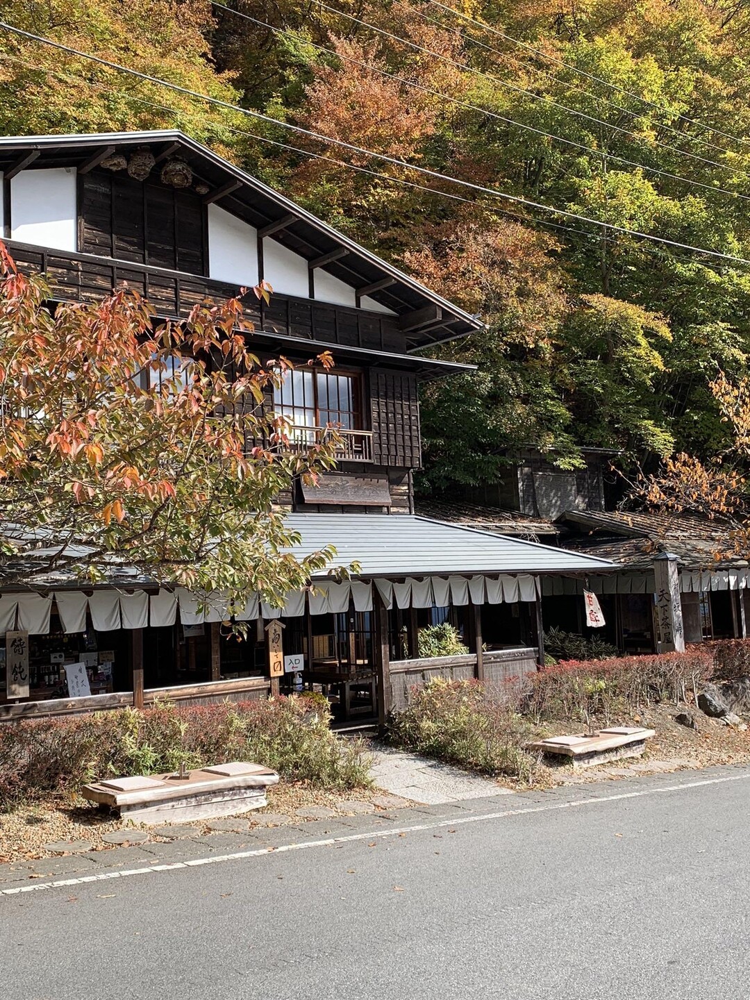 2年ぶりの三ツ峠、霧に包まれて富士山は見... / T-mountainさんのモーメント | YAMAP / ヤマップ