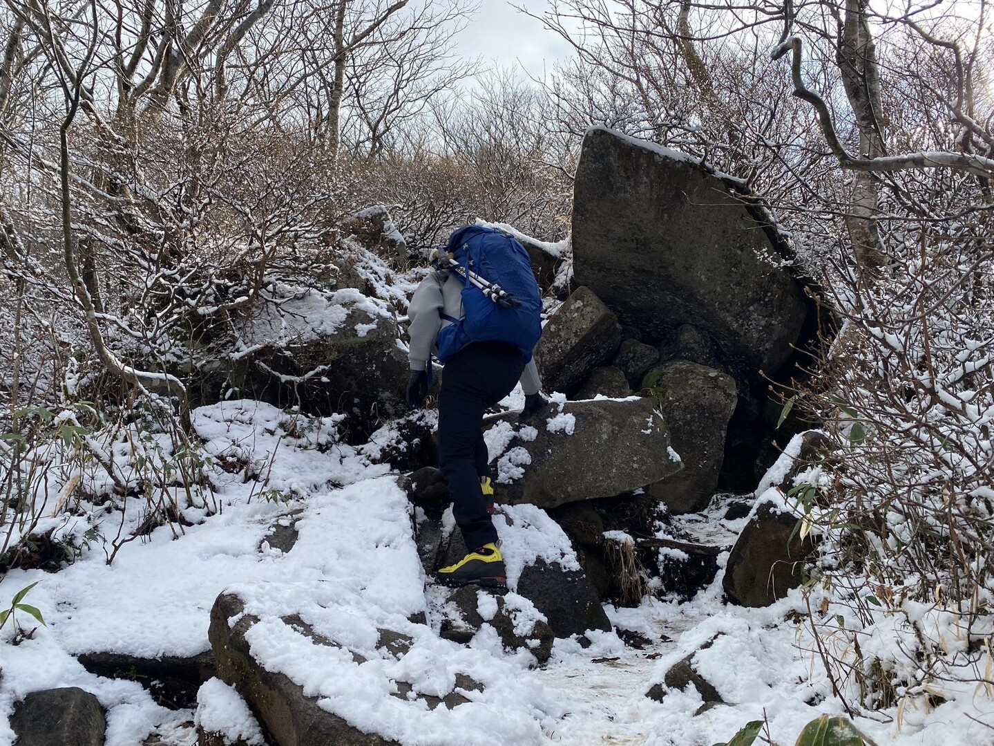 姫神山(R4,15回目) / TMZさんの姫神山の活動データ | YAMAP / ヤマップ