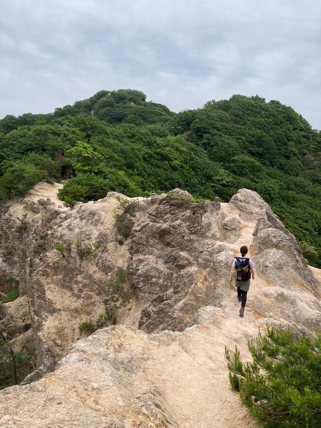 初六甲半縦トレPart1！やれば出来るコ🙌🏻鉢伏山〜鍋蓋山〜新神戸 / nyaomaskさんの六甲山・長峰山・摩耶山の活動データ | YAMAP / ヤマップ