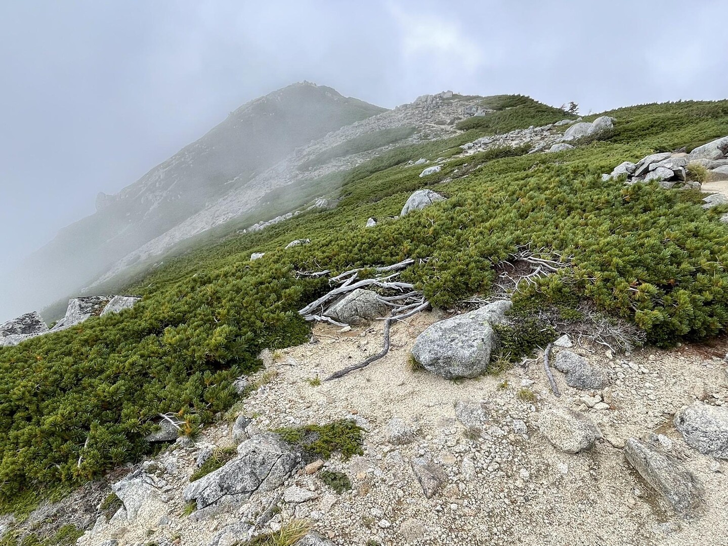 西駒んボッカ下見 将棊ノ頭・将棊頭山 / ロイさんの木曽駒ヶ岳・空木岳・越百山の活動データ | YAMAP / ヤマップ