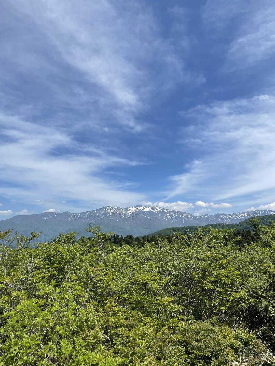 こつぶり山・取立山 / tkgさんの取立山の活動データ | YAMAP / ヤマップ