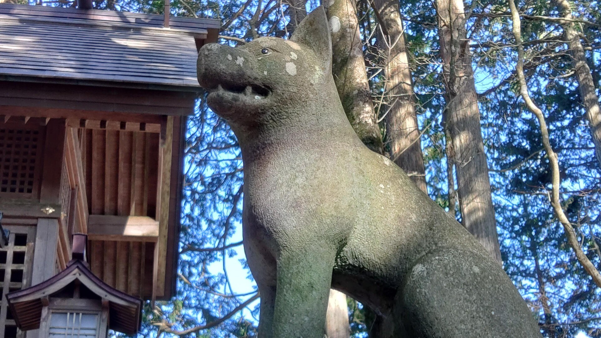 2023年は、このお犬様 / Kouさんの雲取山・鷹ノ巣山・七ツ石山の活動データ | YAMAP / ヤマップ