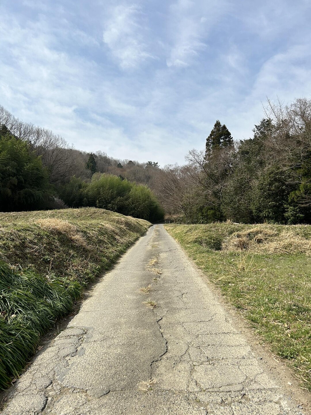 2023/03/16 鐘撞堂山 / tea_thank you さんの宝登山・長瀞アルプス・不動山・陣見山・鐘撞堂山の活動データ | YAMAP / ヤマップ